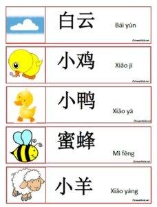 Season Theme Chinese Learning Word Wall Pack- Digital Printable