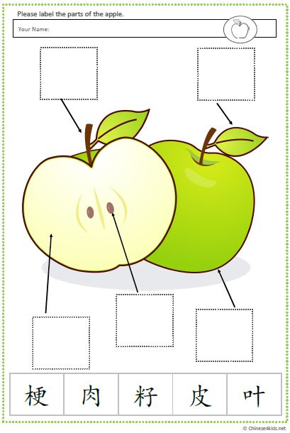Apple-Theme Chinese Learning Pack for Kids - Theme-Based Chinese