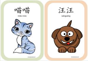 Spring Chinese Learning