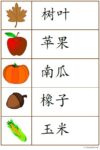 Fall Theme Chinese Learning Pack for Kids