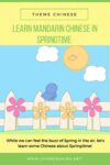 Spring Theme Chinese Learning