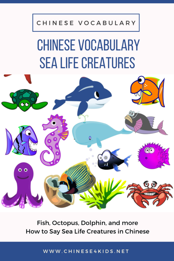 Sea Life Creatures Chinese Vocabulary- Sea Life Creatures in Chinese