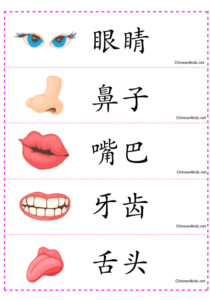 Learn Body Parts in Chinese with Body Parts theme learning pack for kids
