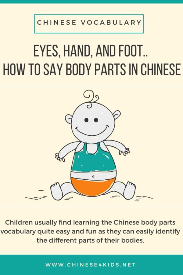 Body Parts in Chinese - Learn Body Parts in Chinese