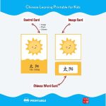 Summer Chinese Learning for Kids with 3-Part Montessori Flashcards