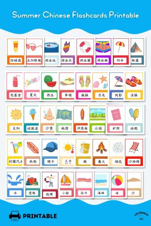 Summer Chinese Montessori 3-Part Flashcards - Digital Printable