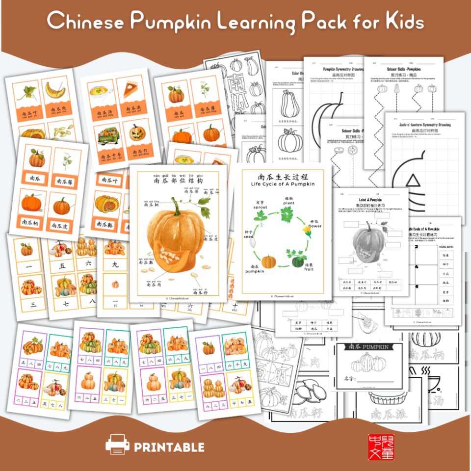 Pumpkin Chinese Learning Pack for Kids