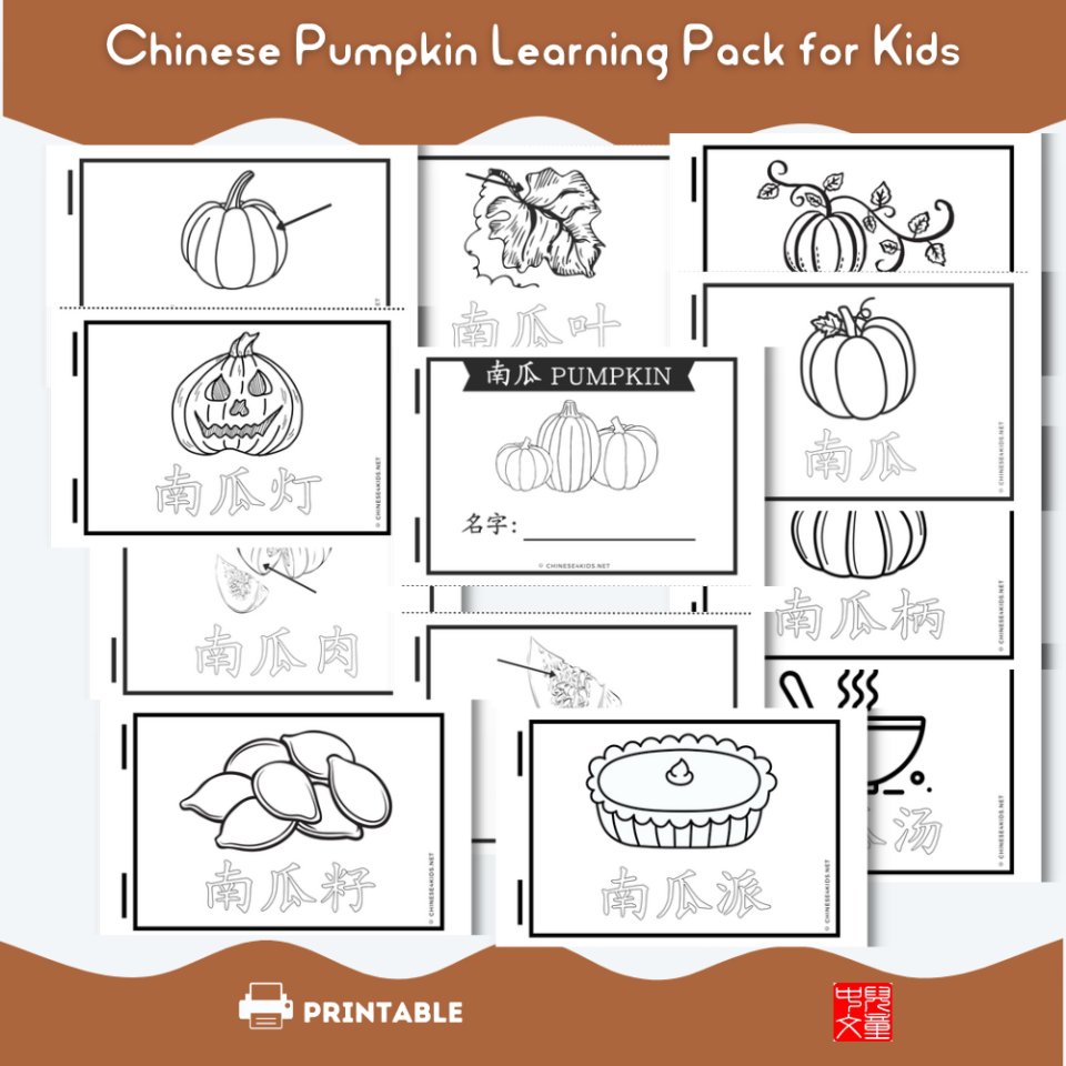 Pumpkin Chinese Learning Pack for kid