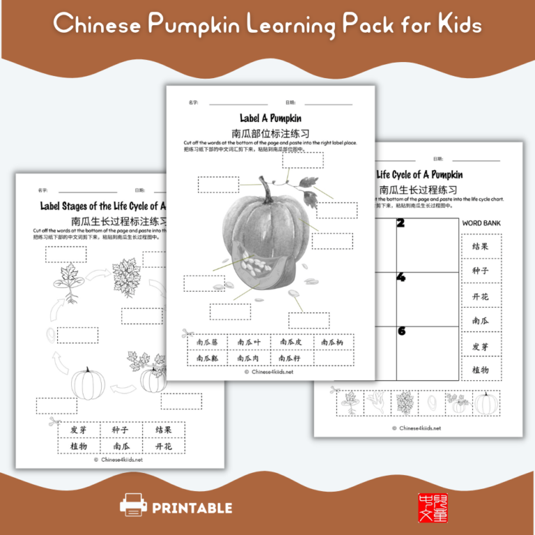 Pumpkin Chinese Learning Pack for kid