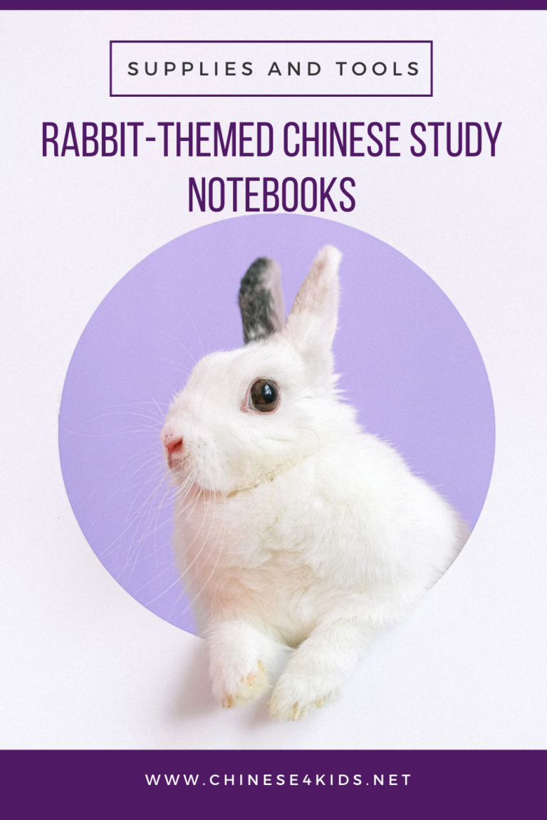Rabbit Themed Chinese Notebooks for Chinese Learners