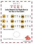 Chinese New Year of the Rabbit Celebrations
