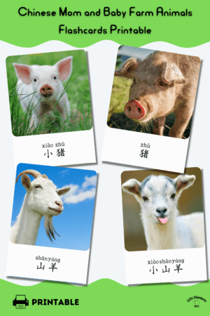 Mom and Baby Farm Animals Montessori Chinese Flashcards