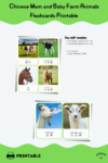 Mom and Baby Farm Animals Montessori Chinese Flashcards