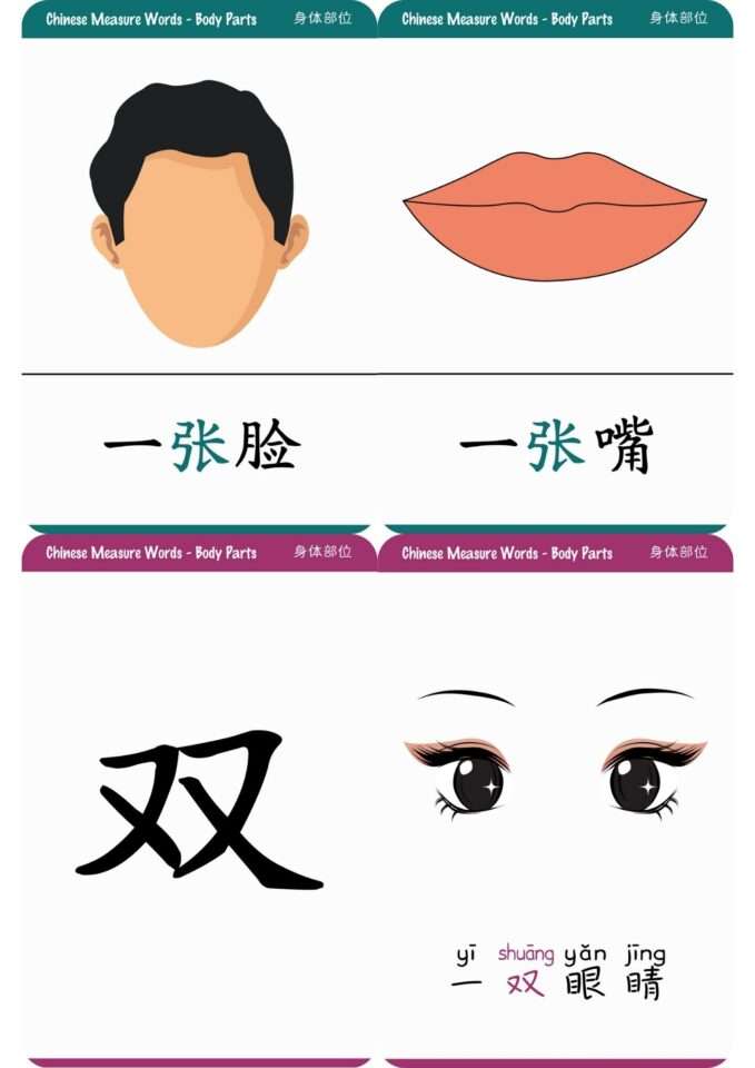 Chinese Measure Words for Body Parts Montessori Flashcards