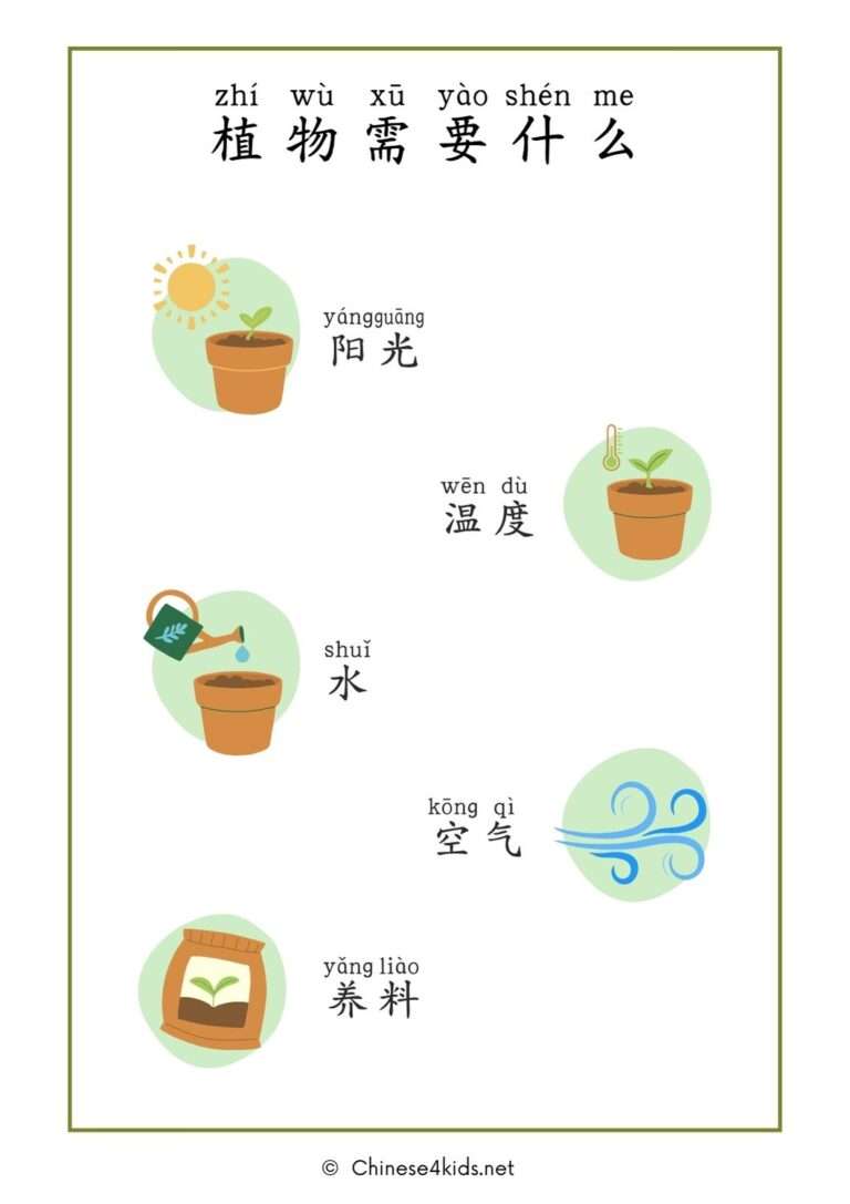 Gardening and Plants Chinese Learning Activities for Kids