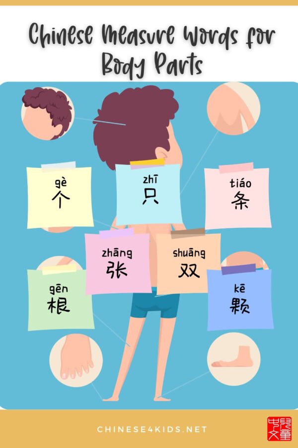Chinese Measure Words for Body Parts for Kids