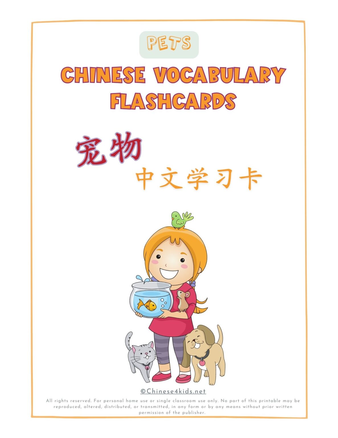 Essential Chinese Vocabulary for Pets and Pet Accessories