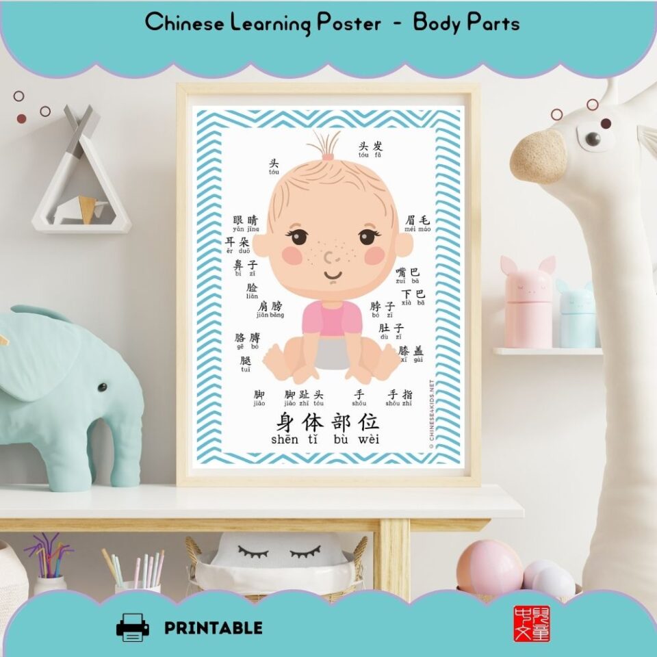 Chinese Basic Vocabulary Poster Bundle - Digital Printable