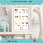 Chinese Basic Vocabulary Poster Bundle - Digital Printable
