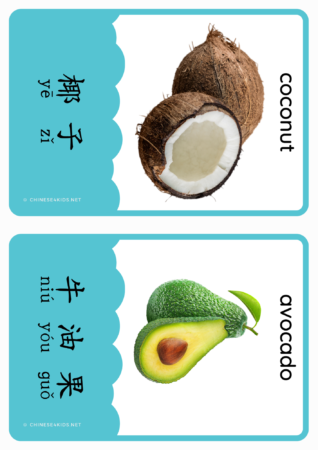 Fruit Chinese Vocabulary Montessori 3-Part Flashcards