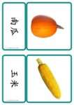 Vegetable Chinese Vocabulary Montessori 3-Part Flashcards