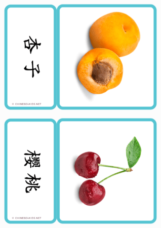 Fruit Chinese Vocabulary Montessori 3-Part Flashcards
