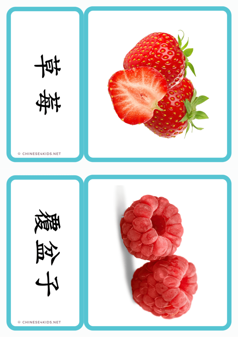 Fruit Chinese Vocabulary Montessori 3-Part Flashcards
