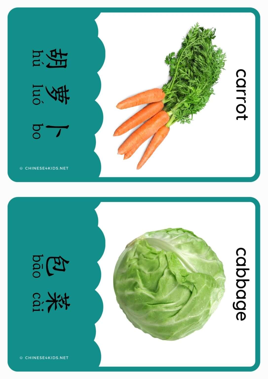 Vegetable Chinese Vocabulary Montessori 3-Part Flashcards