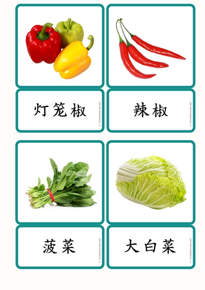 Vegetable Chinese Vocabulary Montessori 3-Part Flashcards