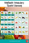 Vegetable Chinese Vocabulary to Unlock the Flavors