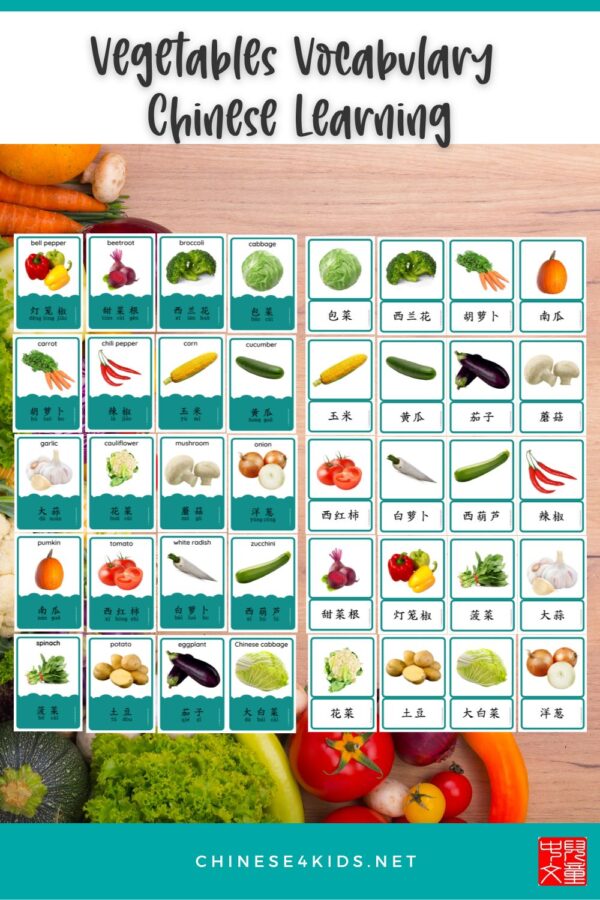 Vegetable Chinese Vocabulary to Unlock the Flavors