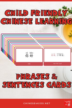 Survival Chinese Phrases with Example Sentences Cards for Kid