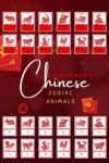 Chinese Zodiac Animal