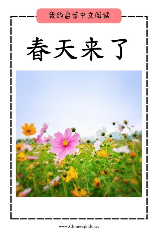 My First Chinese Reading Level A 36 Books - Digital Printable