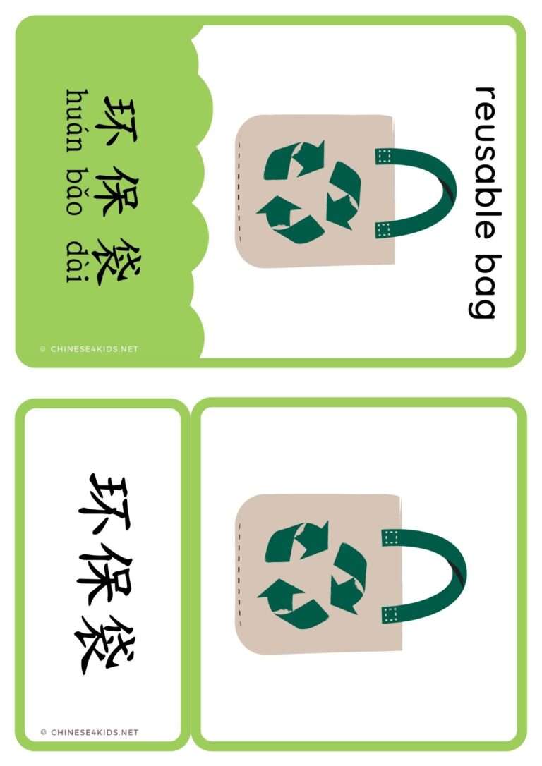 Earth Day Chinese Flashcards