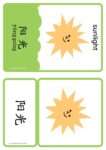 Earth Day Chinese Flashcards