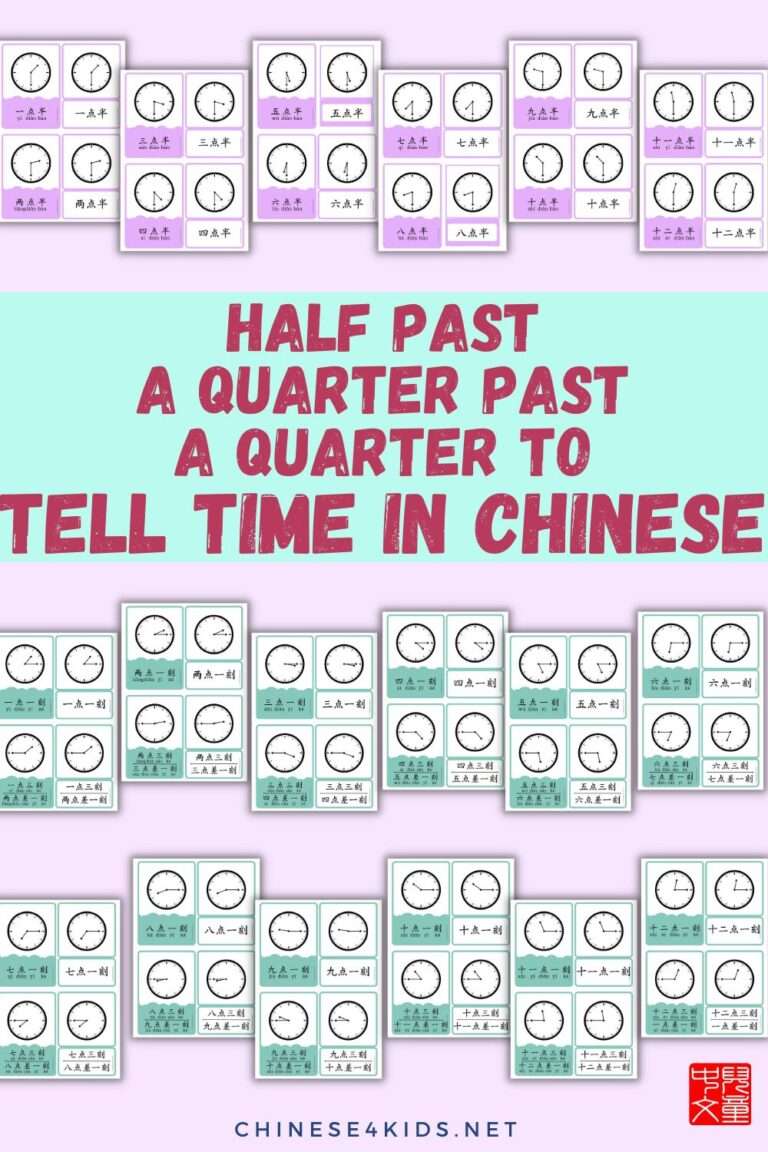 Time Half and Quarter Montessori 3-Part Flashcards