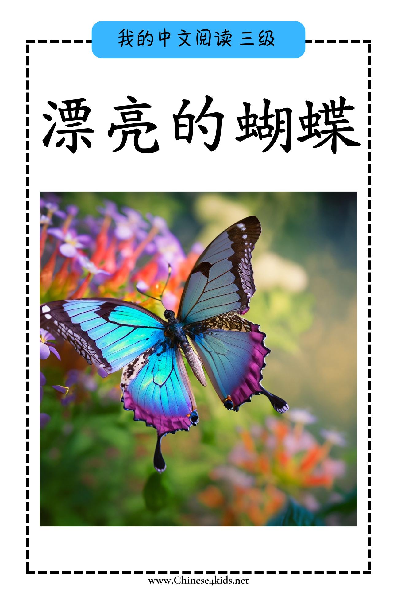 Chinese Reading Book Level C - Beautiful Butterflies
