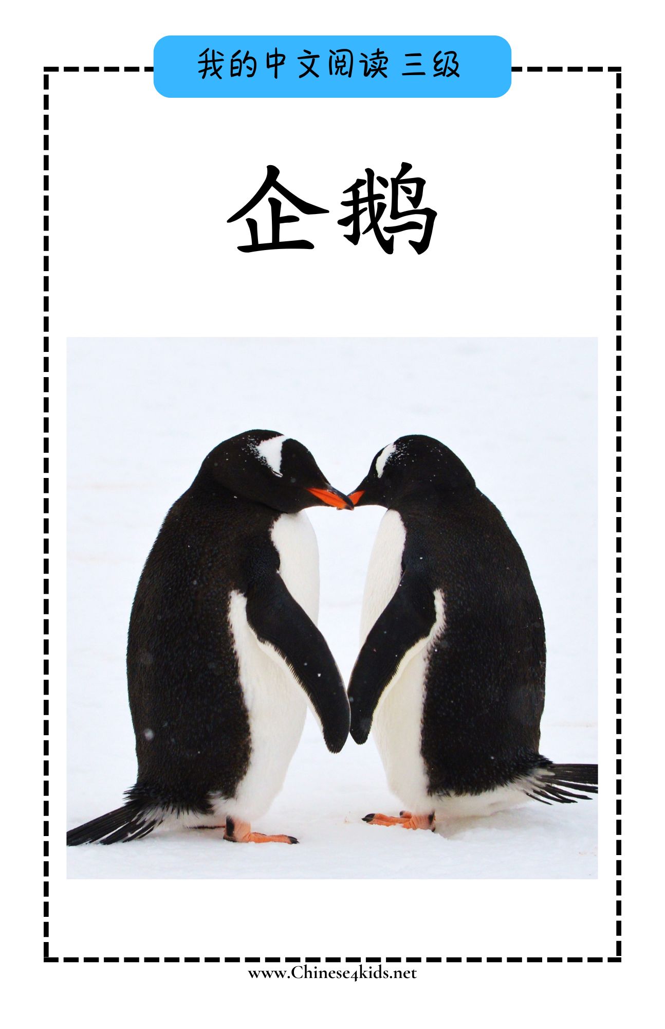 Chinese Reading Book Level C - Penguins
