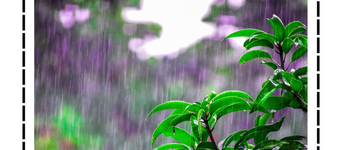 It is raining 下雨了