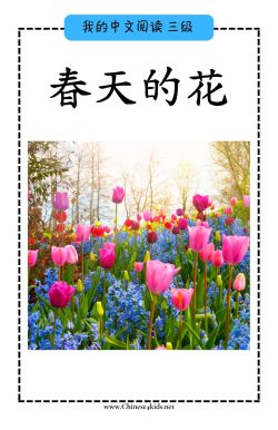 Chinese Reading Book Level C - Spring Flowers