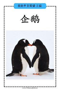 Chinese Reading Book Level C - Penguins